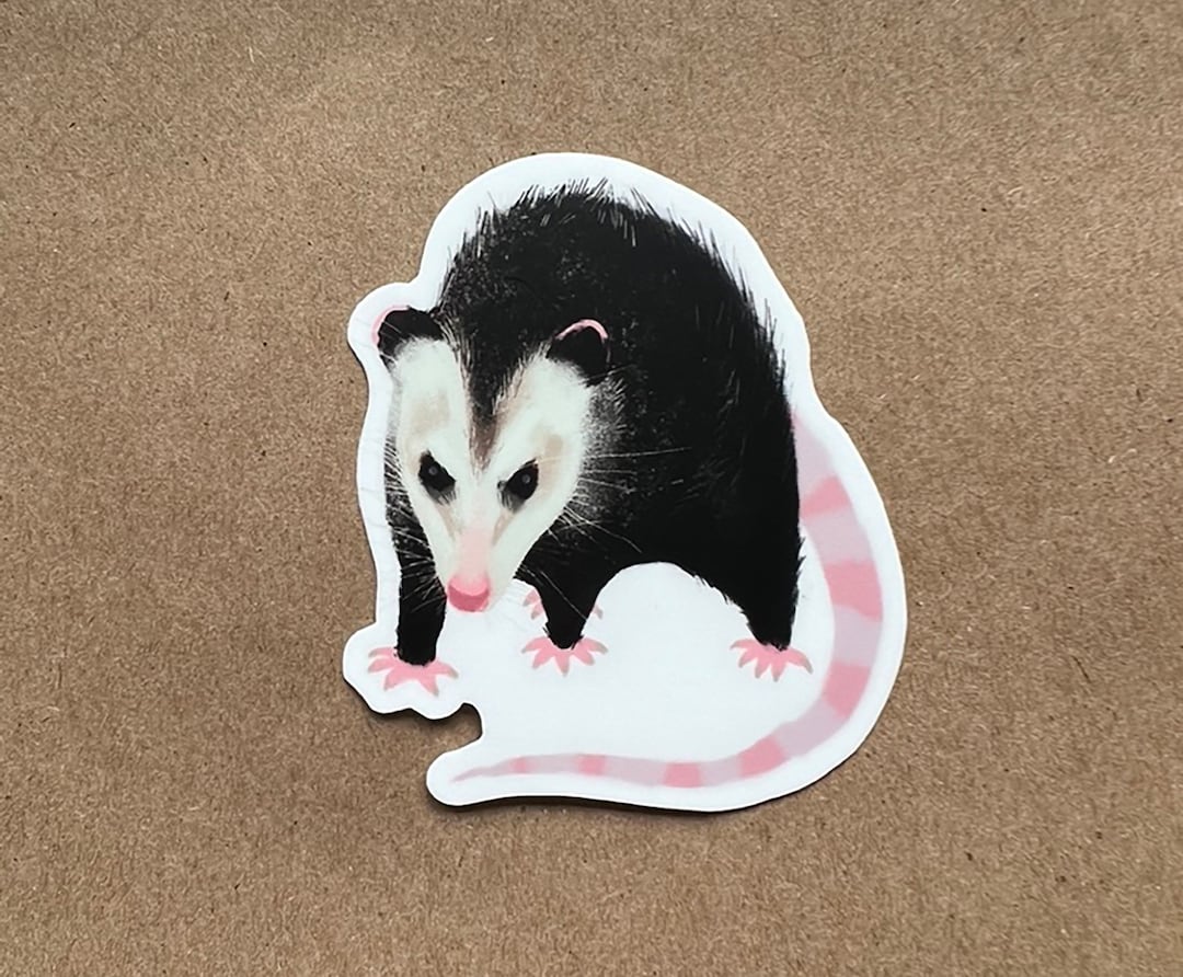 City Critter Opossum Sticker - Vinyl Sticker Opossum - Etsy