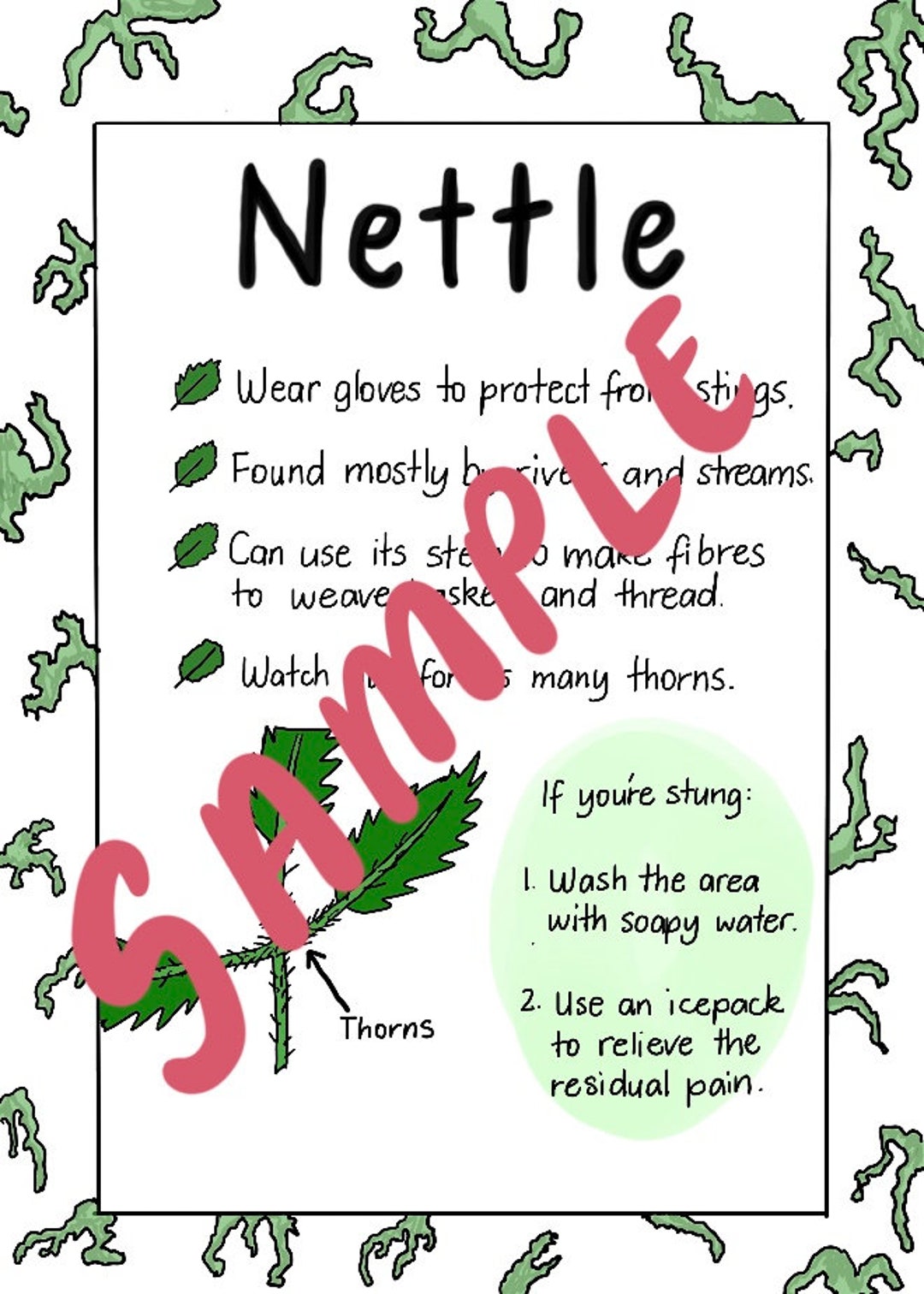 Foraging Flashcards for Children - Etsy