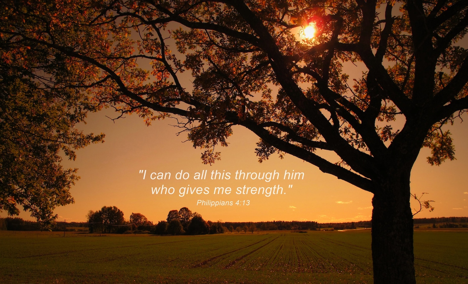 I Can Do All Things Bible Verse Print, Christian Wall Art (digital ...