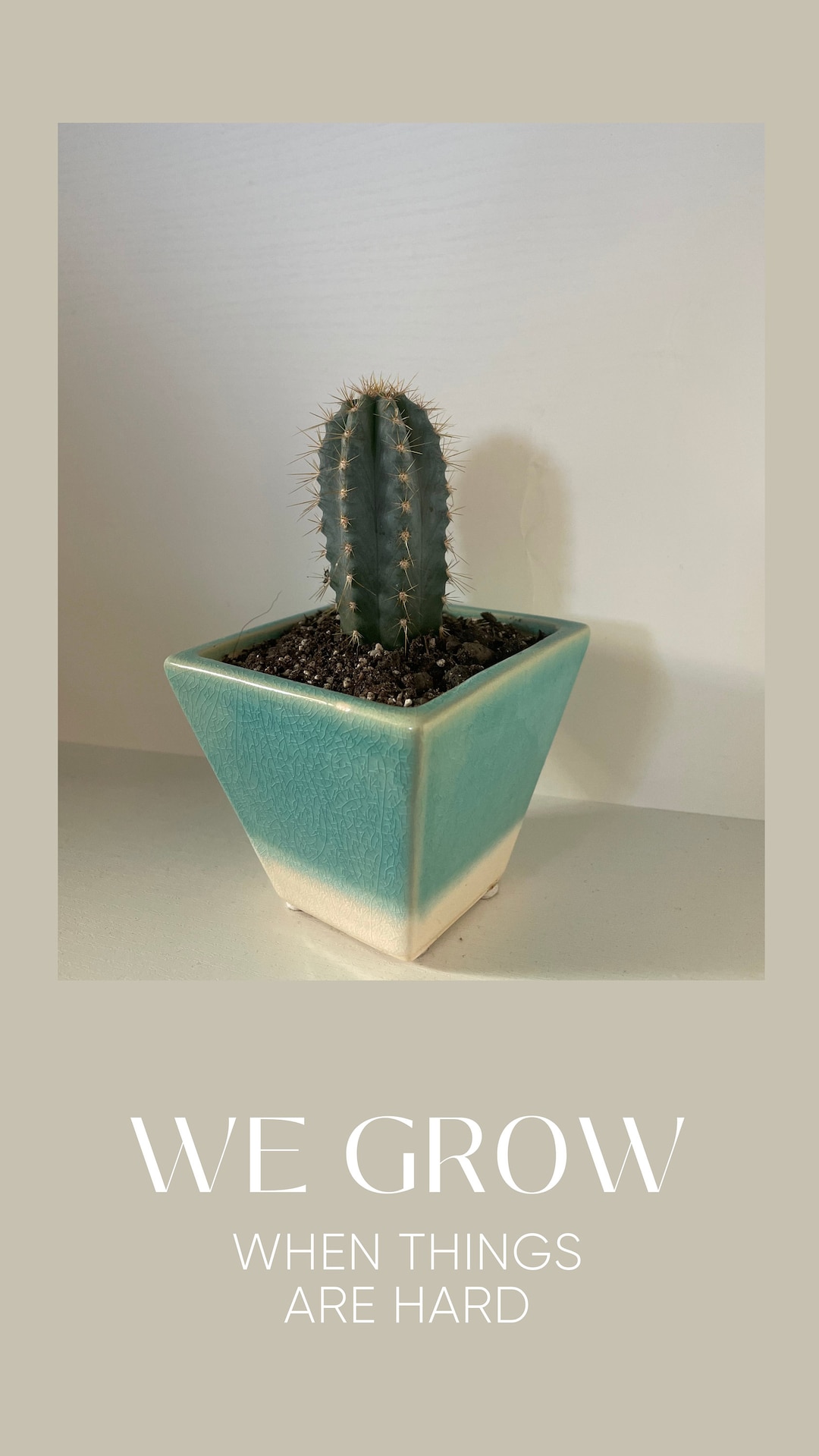 Cactus Quotes Inspirational Development Sayings Postcard Wall Art ...