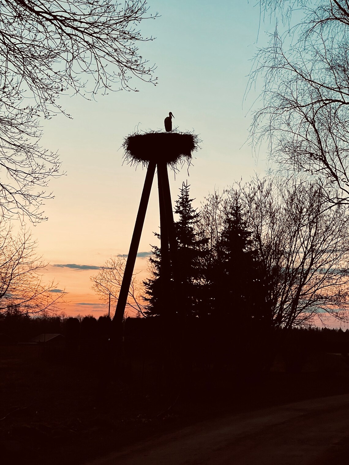 Storks Home Sweet Home Printable Wallart Encouraging Quote Postcard ...