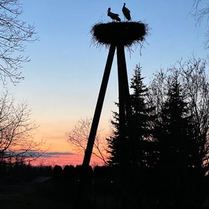 Storks Home Sweet Home Printable Wallart Encouraging Quote Postcard ...