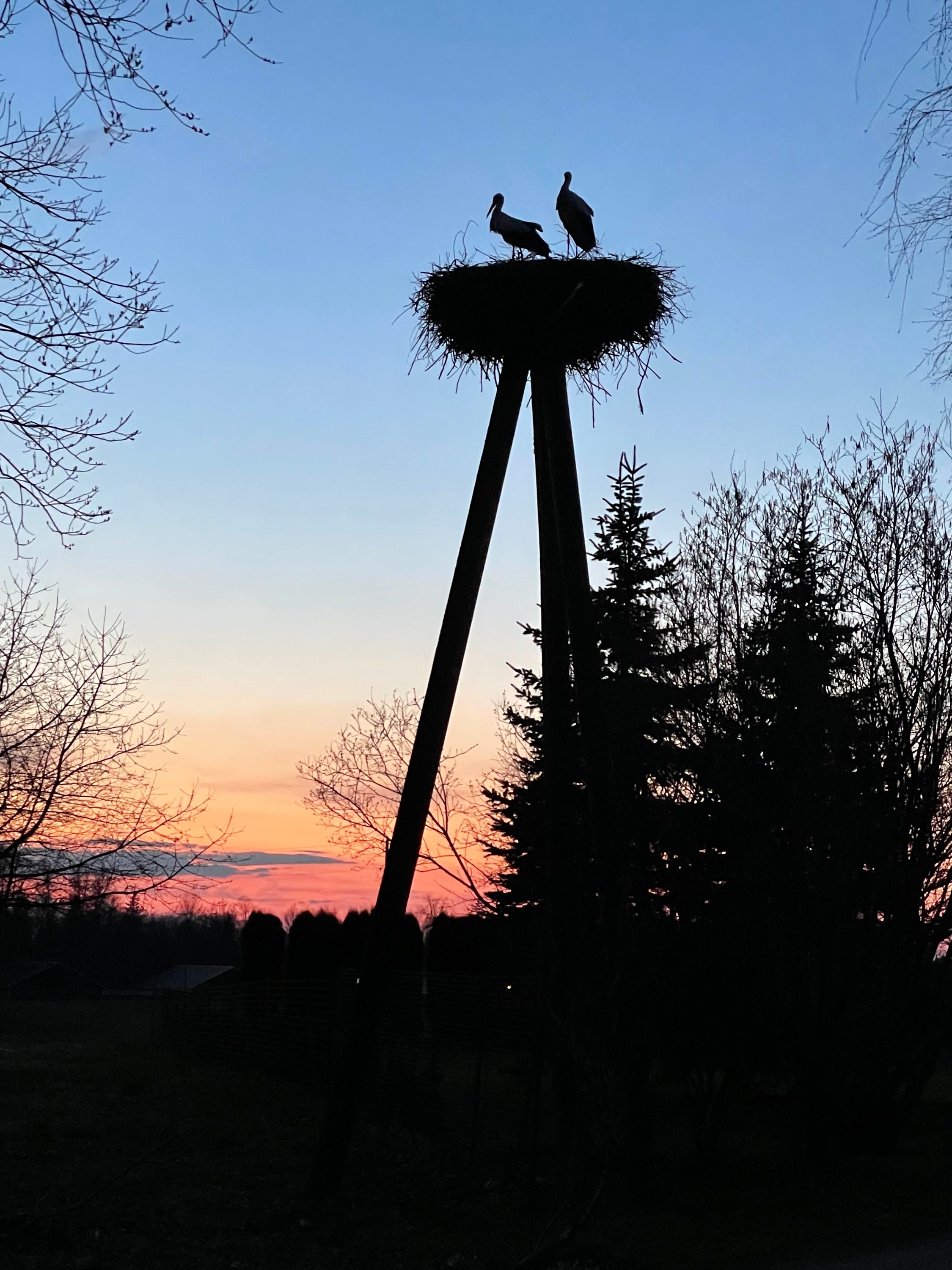 Storks 'home Sweet Home' Printable Wall Art (digital Download) - Etsy