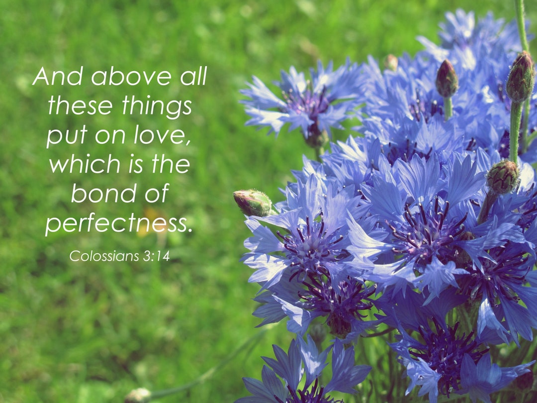 Christian Bible Verse Wallart Encouraging Quote Postcard Wallpaper ...