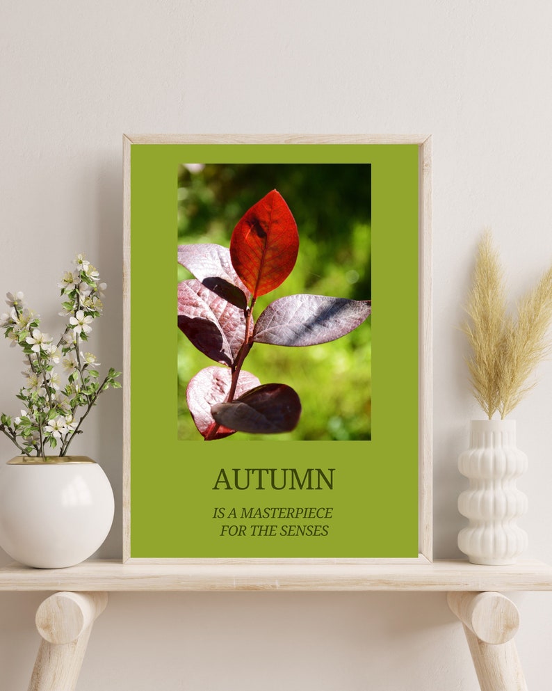 Autumn Fall Leaf Leaves Colors Colour Beauty October Thanksgiving ...