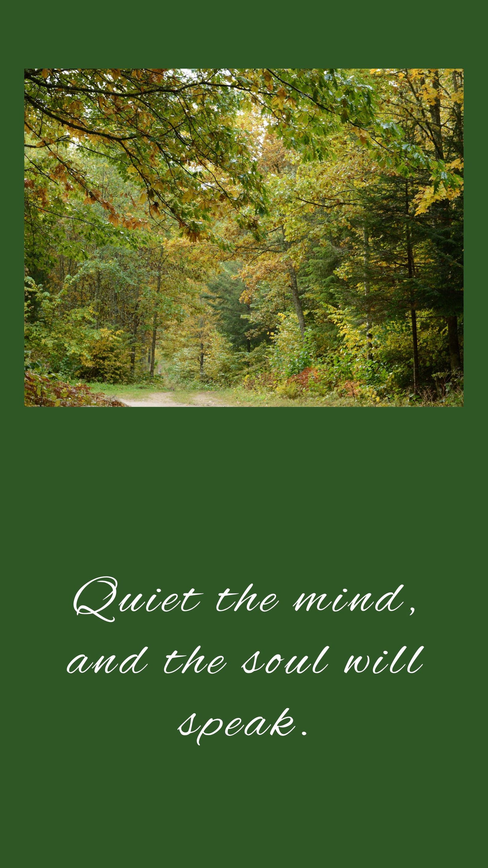 Autumn Forest Print Fall Nature Photography Green Gold Leaves Forest ...