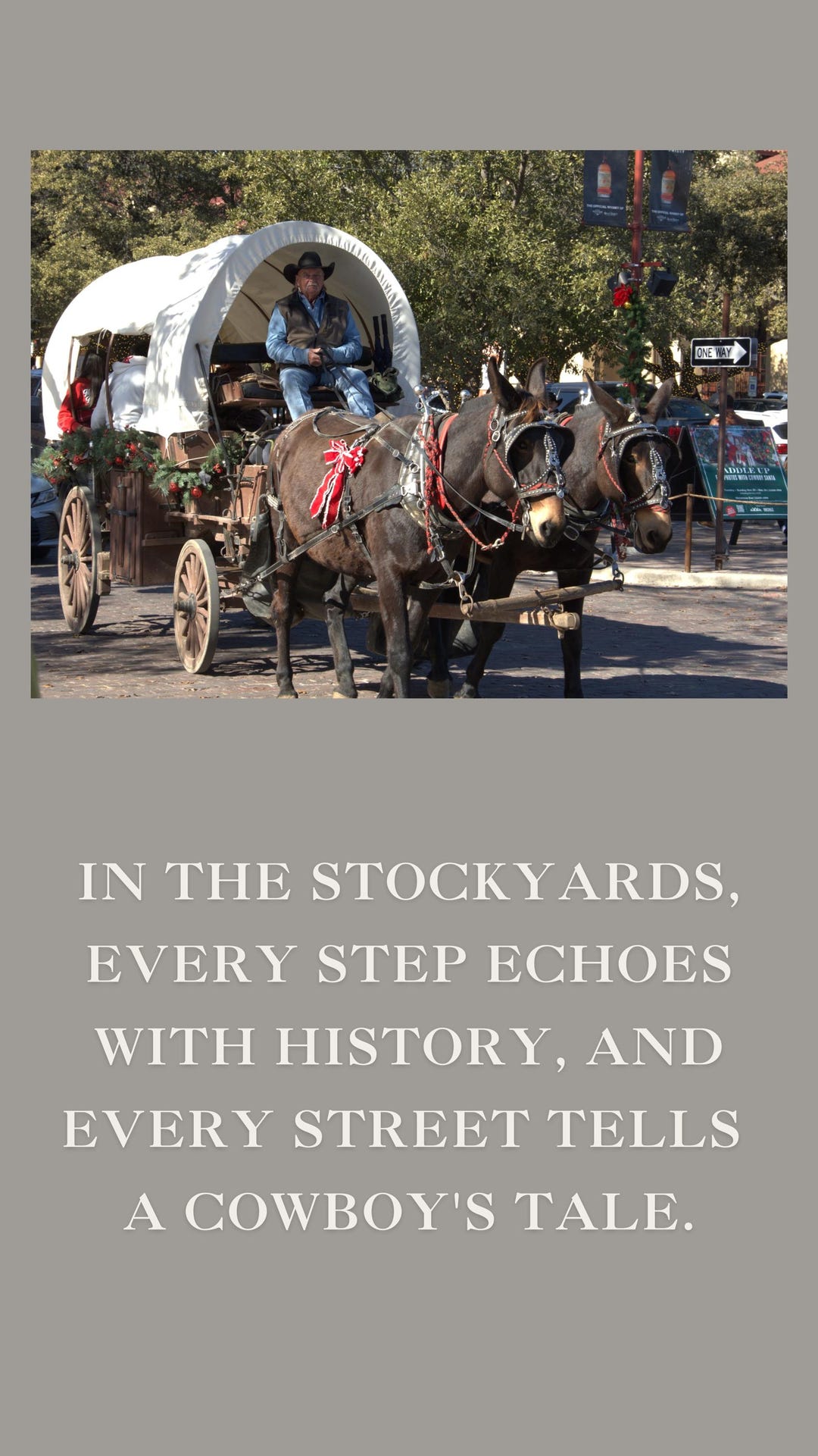 Texas Stockyards Mule-drawn Wagon Ride, Dallas Cowboy Western Theme ...