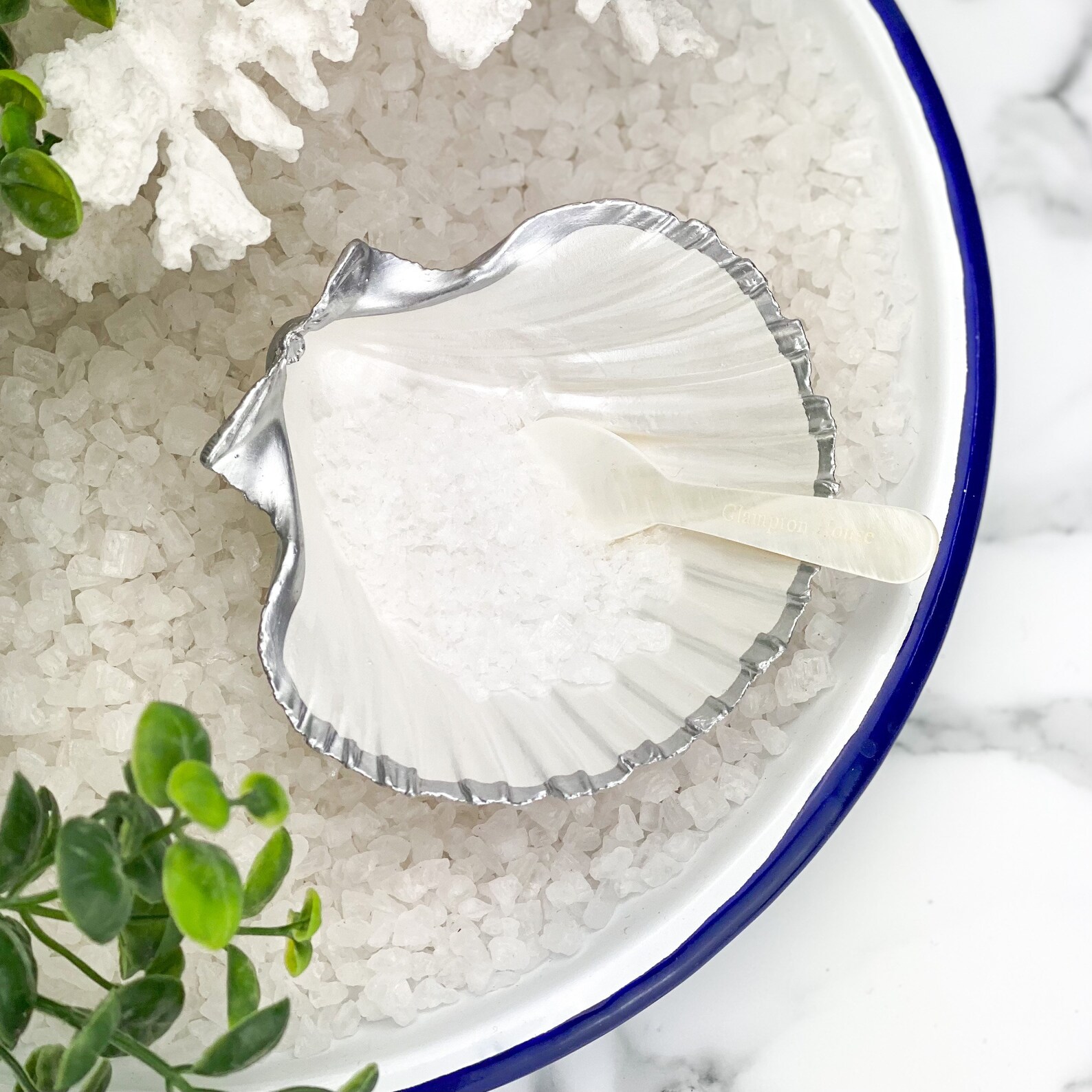 Silver Salt & Pepper Scallop Shell Set With Shell Carved Spoons - Etsy