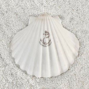 Gold Salt & Pepper Scallop Shell Set With Shell Carved Spoons - Etsy