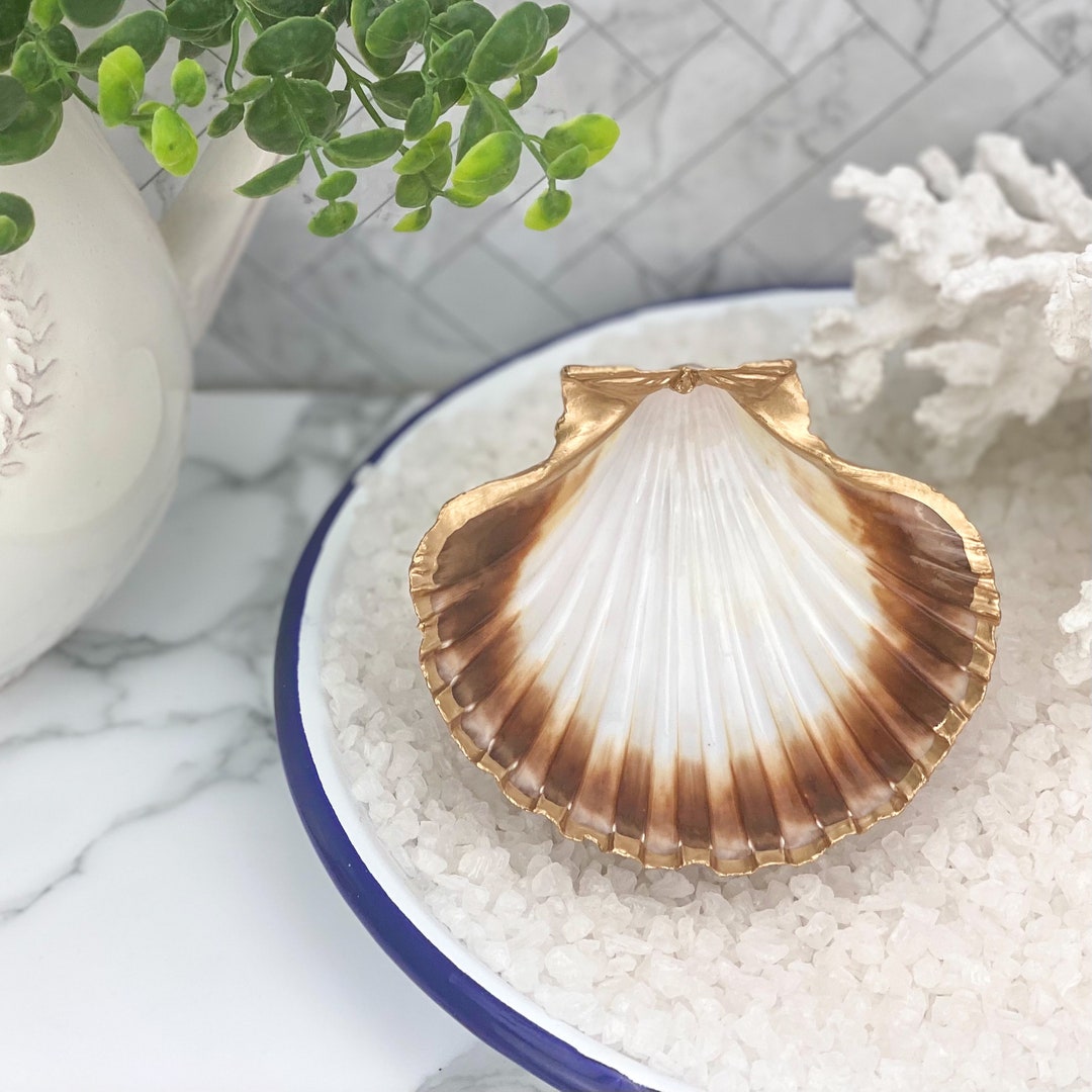 Natural Scallop Shell Trinket/ring Dish Gold - Etsy