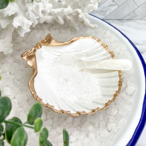 Gold Salt & Pepper Scallop Shell Set With Shell Carved Spoons - Etsy