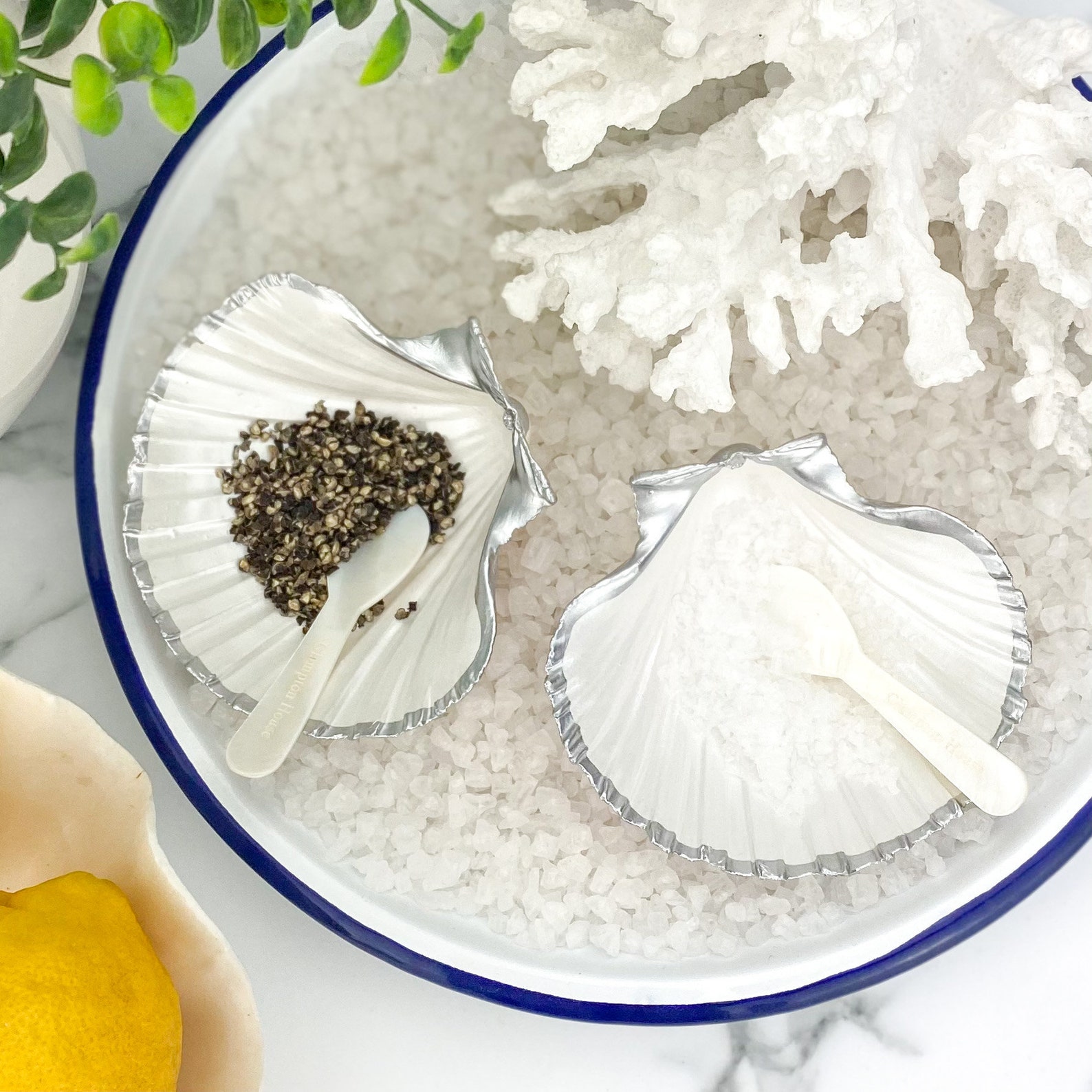 Silver Salt & Pepper Scallop Shell Set With Shell Carved Spoons - Etsy