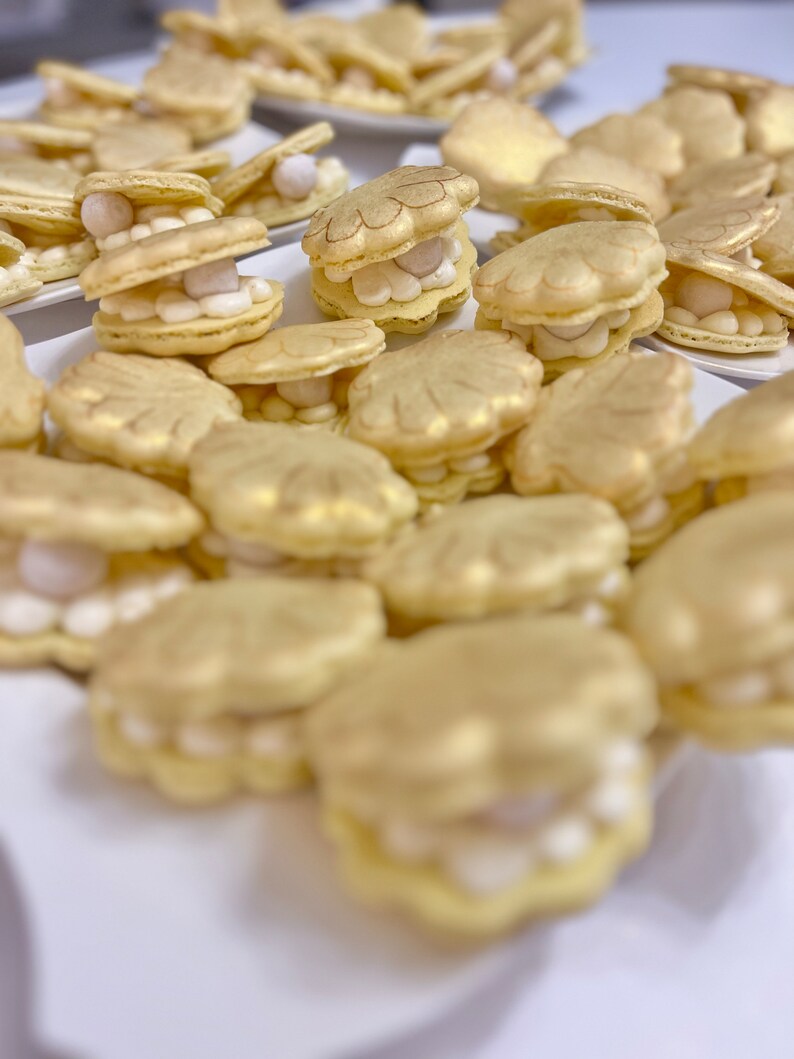 Seashell Macaron Template Transfer Sheet - Etsy