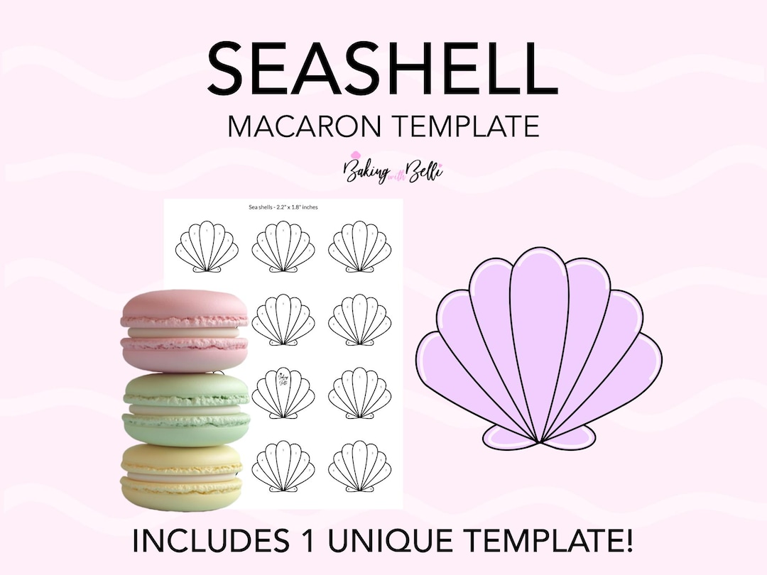 Seashell Macaron Template Transfer Sheet - Etsy