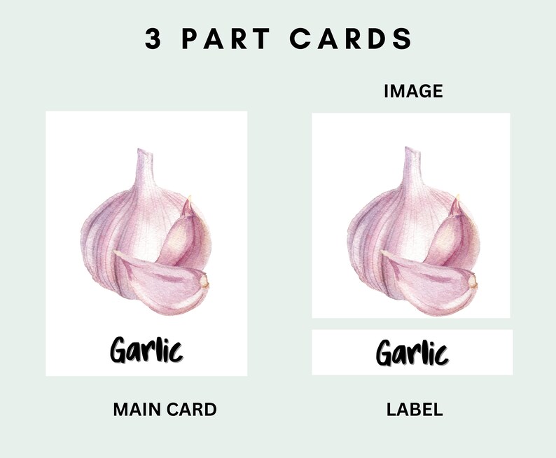 27 Children's Vegetable Flashcards, Pre-school Learning, Learning ...