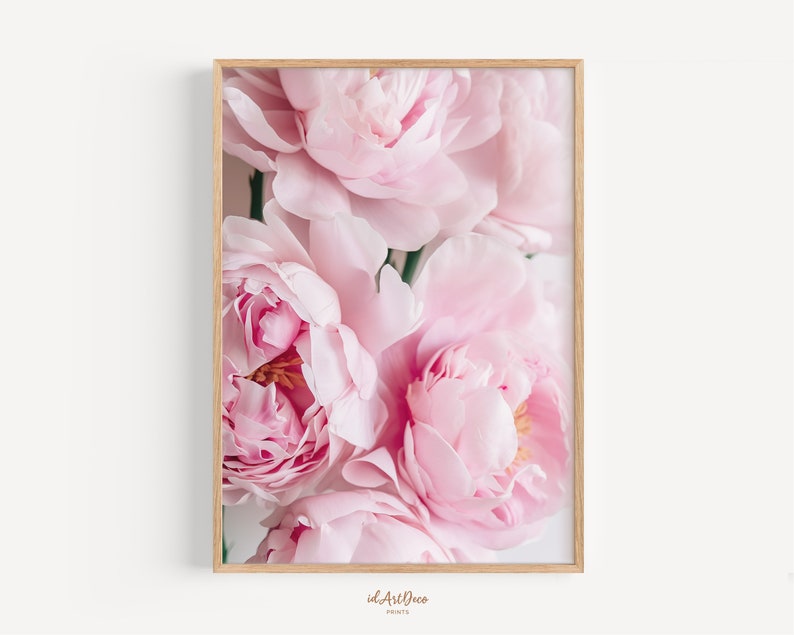 Peony Print, Set of 3 Flower Print, Peony Wall Art, Blush Pink Peonies ...