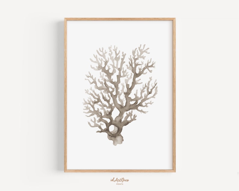 Coral Seaweed Prints Set 3, Coastal Nautical Wall Art, Warm Watercolor ...