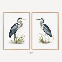 PRINTABLE Water Birds Wall Art Print Set of 4, Lake Birds Pencil Wall ...