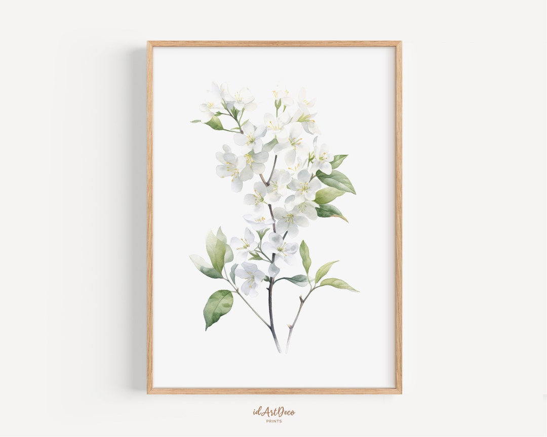 White Hydrangea Print, Watercolor Floral Art, Botanical Wall Decor ...