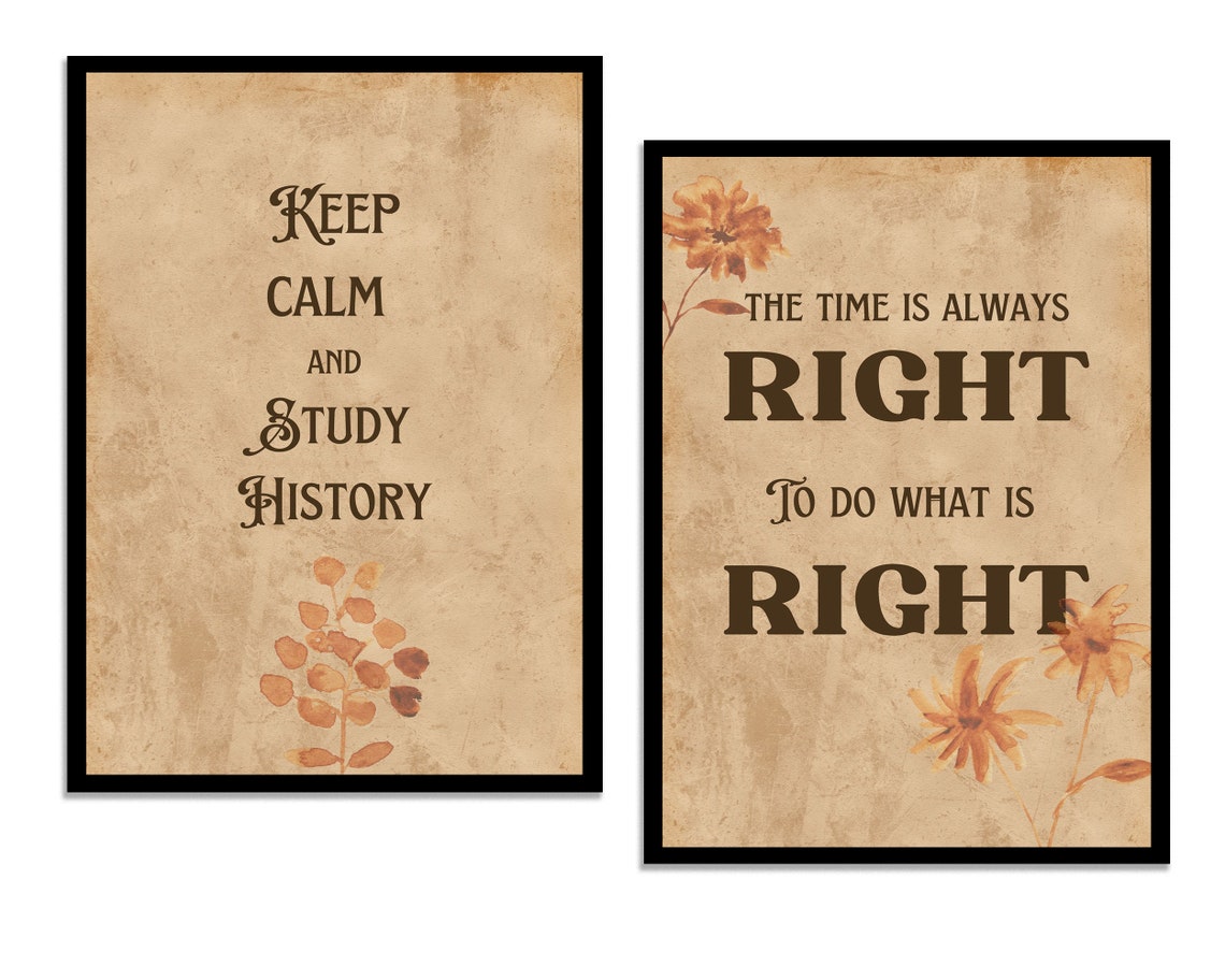 Printable Funny and Inspiring History Teacher Posters History Classroom ...