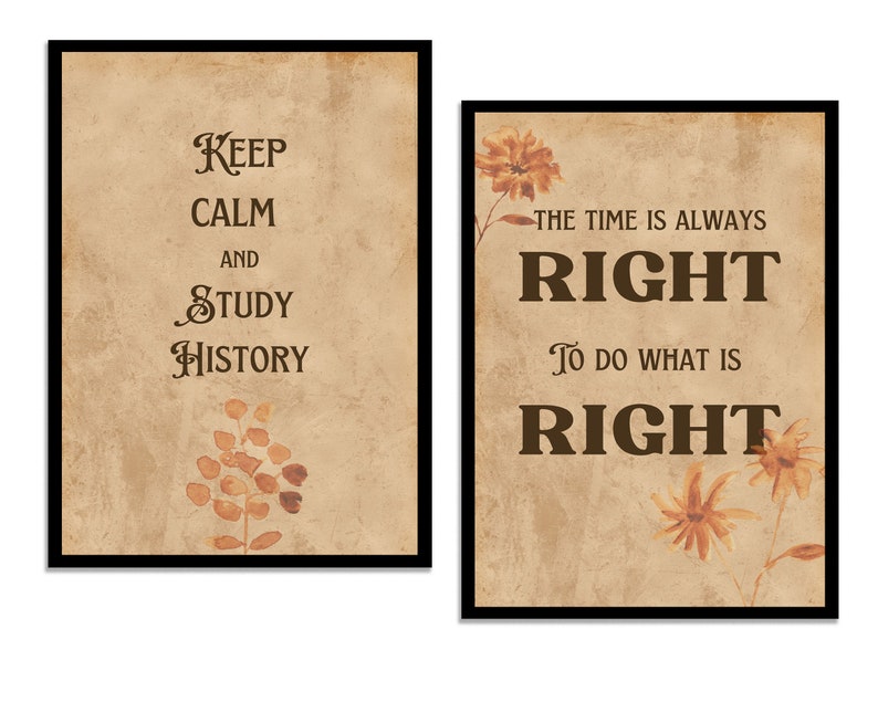 Printable Funny and Inspiring History Teacher Posters History Classroom ...