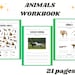 Kindergarten Animals Workbook Animals Worksheets Printable Animals ...