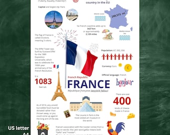 French Crash Course Infographic Poster; French Classroom Decor; French ...