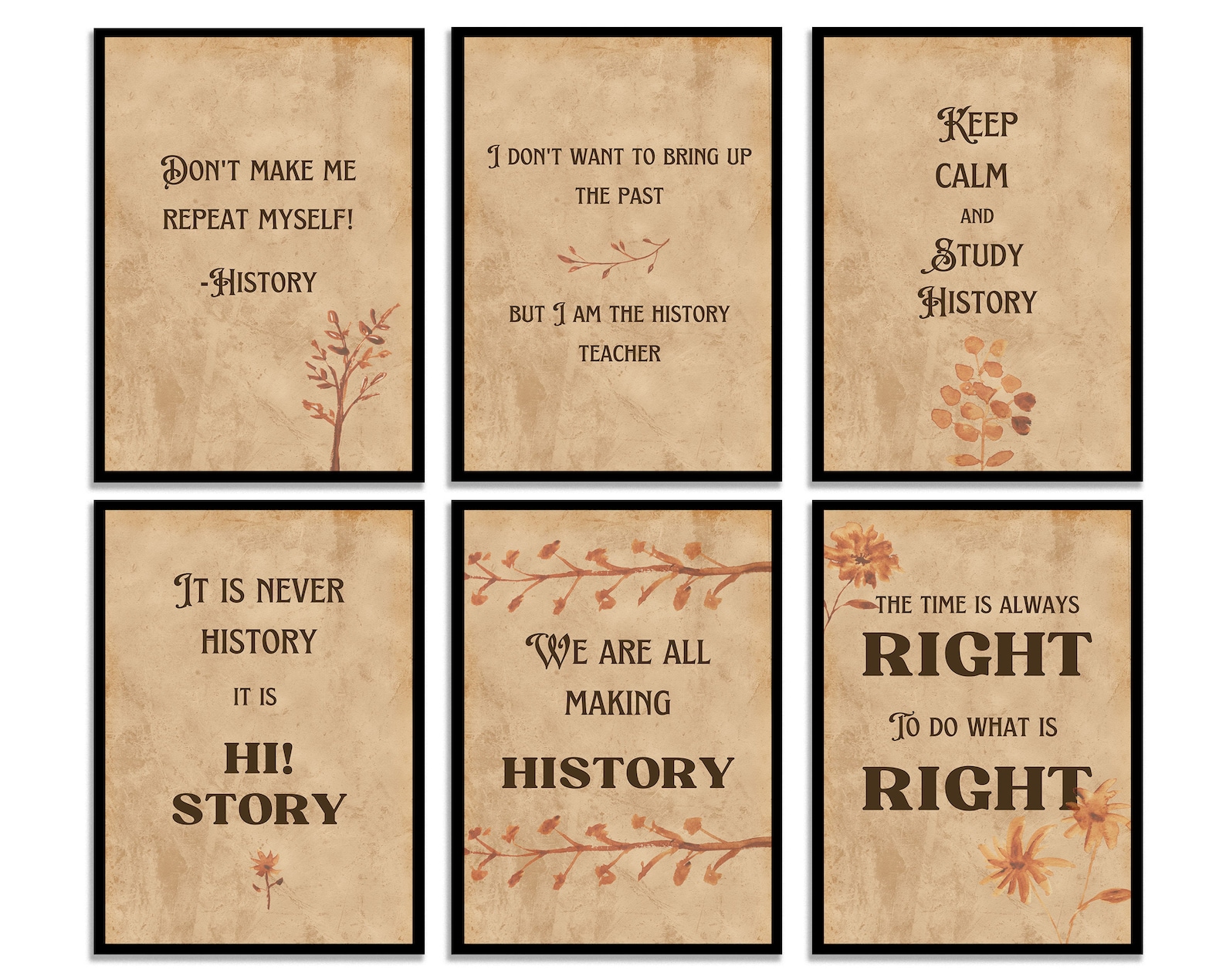 Printable Funny and Inspiring History Teacher Posters; History ...