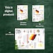 Germany Infographic Poster; German Classroom Decor; German Class ...