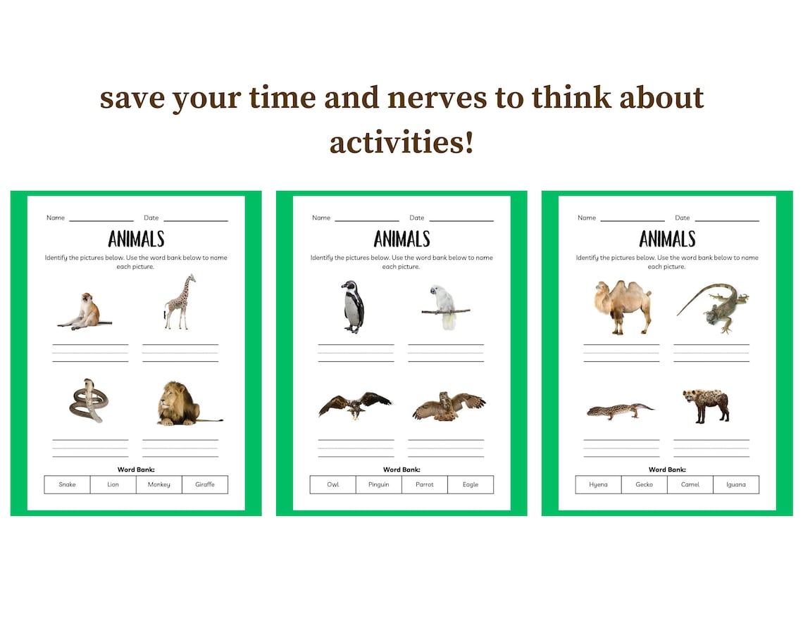 Kindergarten Animals Workbook; Animals Worksheets; Printable Animals ...