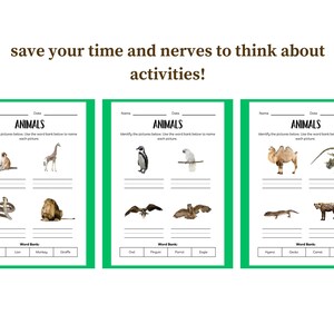Kindergarten Animals Workbook; Animals Worksheets; Printable Animals ...