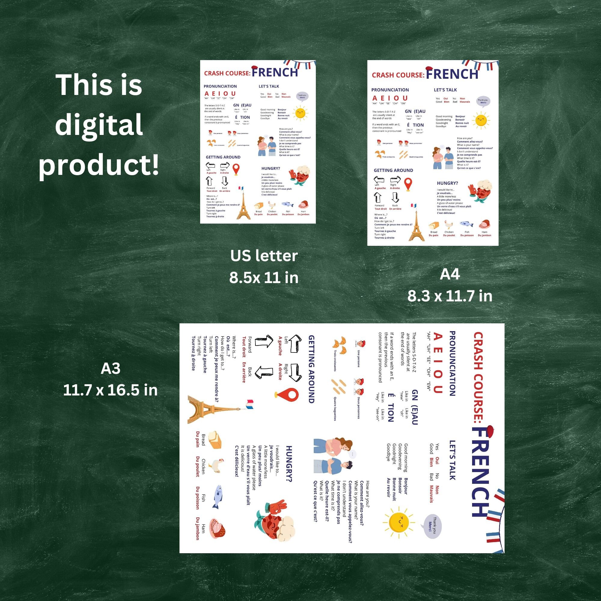 French Crash Course Infographic Poster; French Classroom Decor; French ...