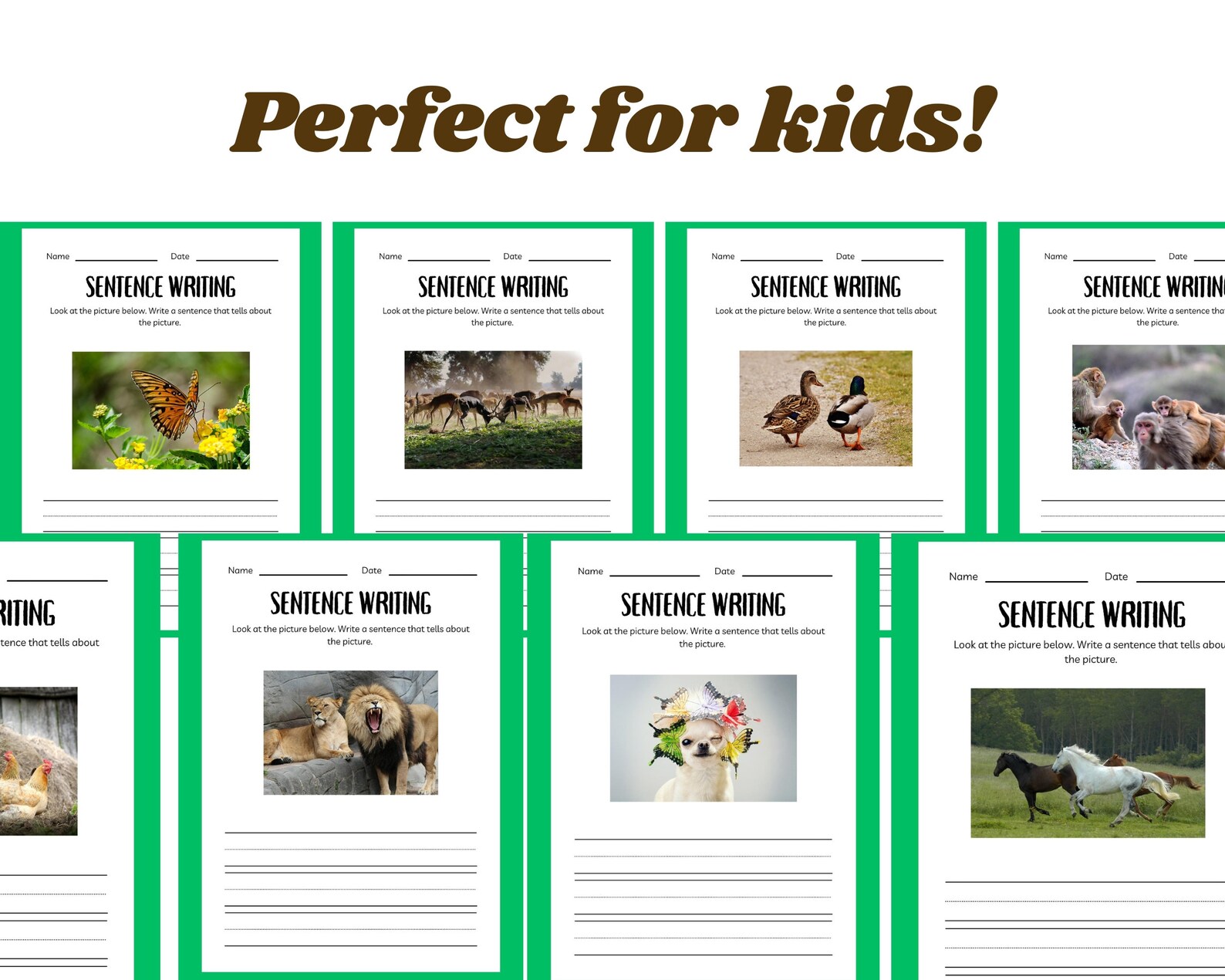 Kindergarten Animals Workbook; Animals Worksheets; Printable Animals ...