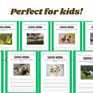Kindergarten Animals Workbook; Animals Worksheets; Printable Animals ...
