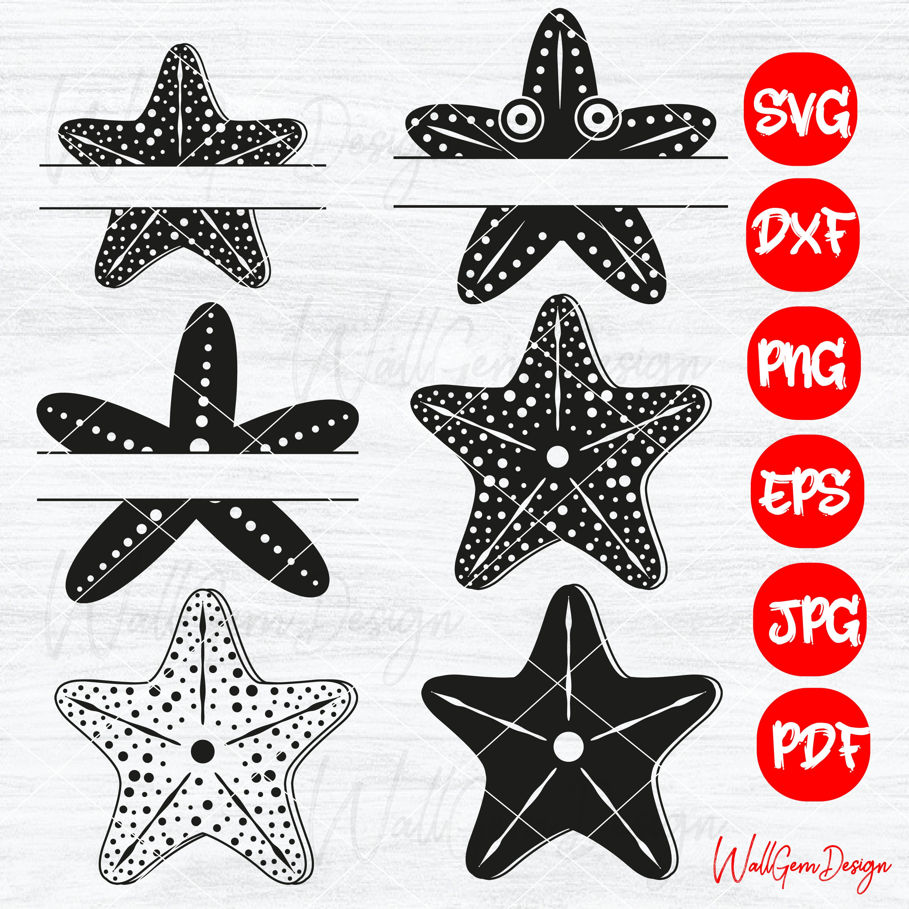 Starfish SVG Bundle: Sea Life Clipart (30 Designs) - Etsy