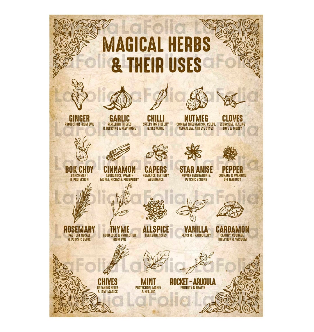 Magical Herb Poster Magickal Herb Poster, Magickal Used for Herbs ...