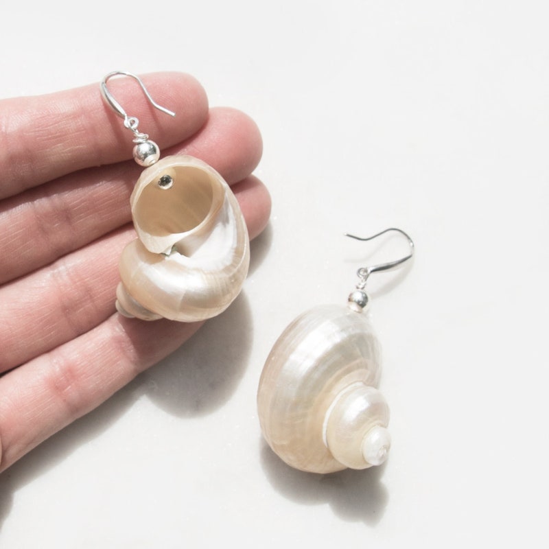 Shell Earrings - Etsy UK