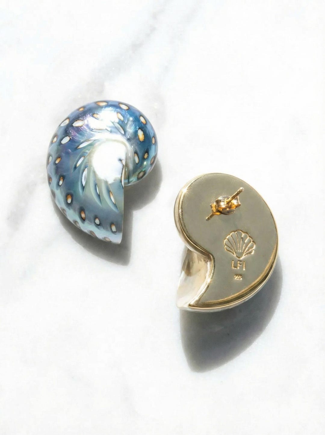 Large Jaguar Nautilus Shell Earrings, Ocean Inspired Jewelry, Coastal ...