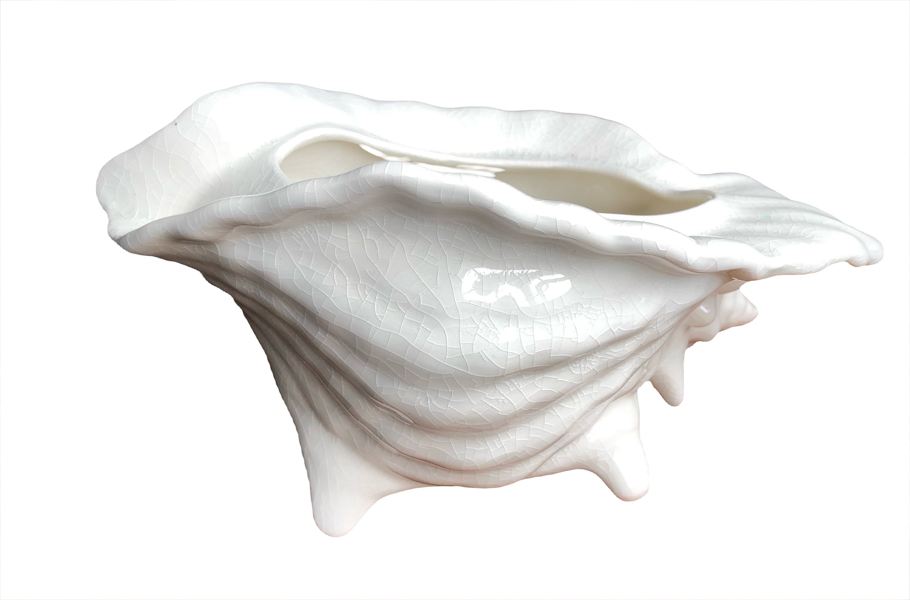 White Pottery Conch Shell - Etsy