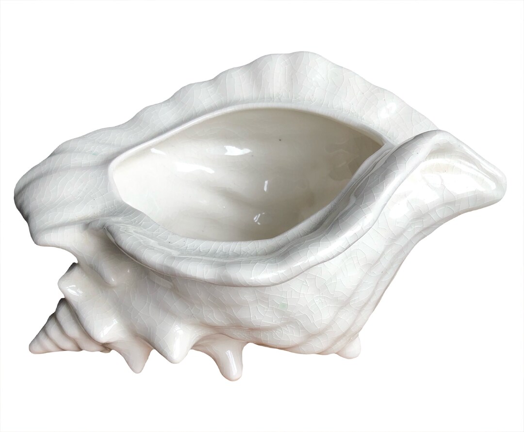 White Pottery Conch Shell - Etsy
