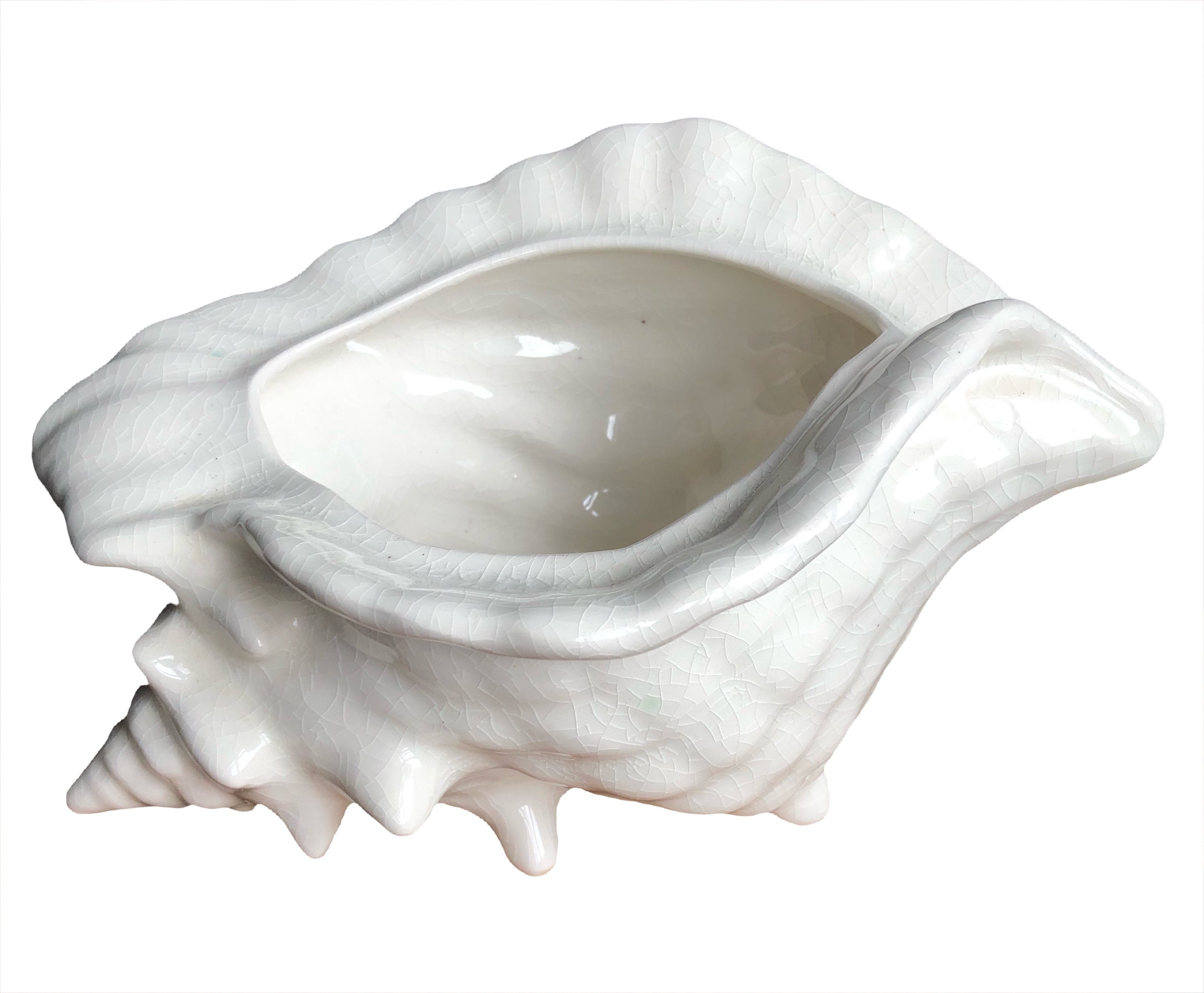White Pottery Conch Shell - Etsy