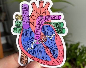 Funny Medical Sticker Medical Humor Funny Nurse Sticker Bladder Sticker ...