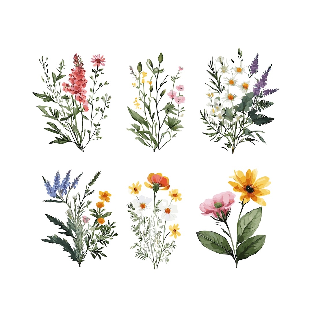 Color Wildflower Bundle Svg, Minimalist Flower Bouquet, Plotterdatei Blumen, Wildflower Sketch ...