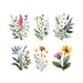 Color Wildflower Bundle Svg, Minimalist Flower Bouquet, Plotterdatei Blumen, Wildflower Sketch ...