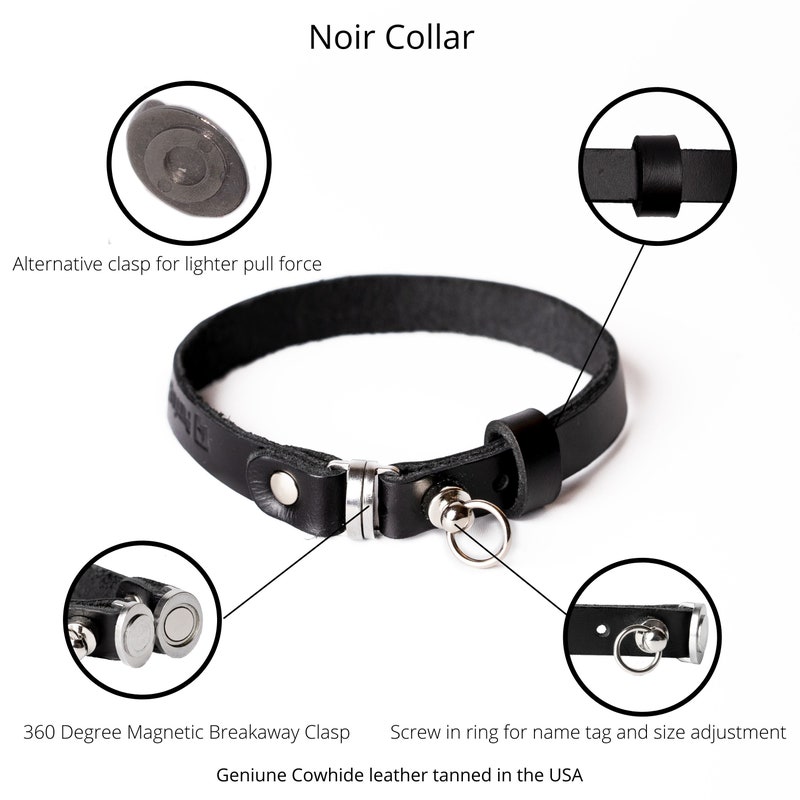 Breakaway Cat Collar - Etsy