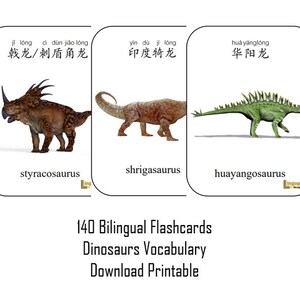 Dinosaurs Vocabulary 140 Bilingual Chinese Flashcards With Pinyin ...
