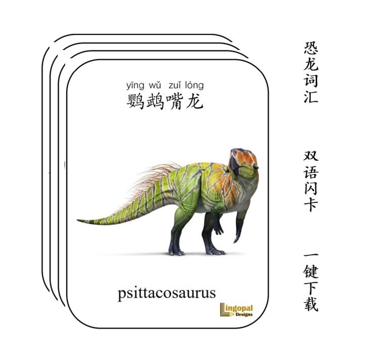 Dinosaurs Vocabulary - 140 Bilingual Chinese Flashcards With Pinyin ...