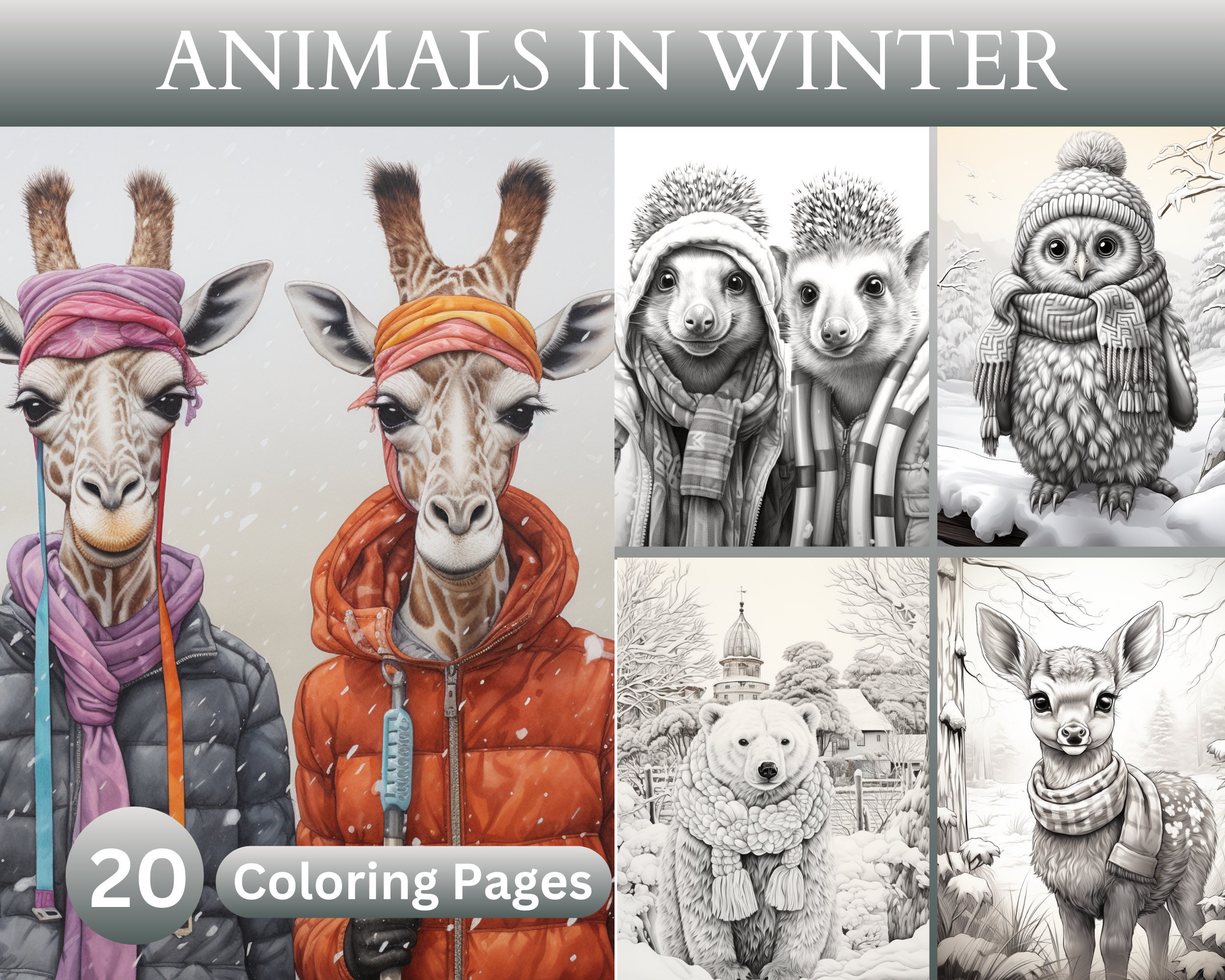 20 Winter Animals Coloring Book, Winter Wildlife, Snowflakes, Fantasy ...