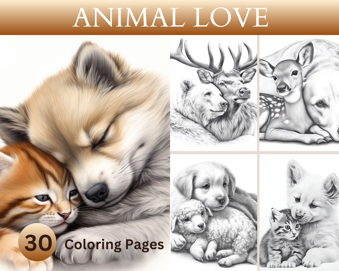 30 Animal Love Coloring Book, Cute Animals, Realistic Wildlife, Instant ...