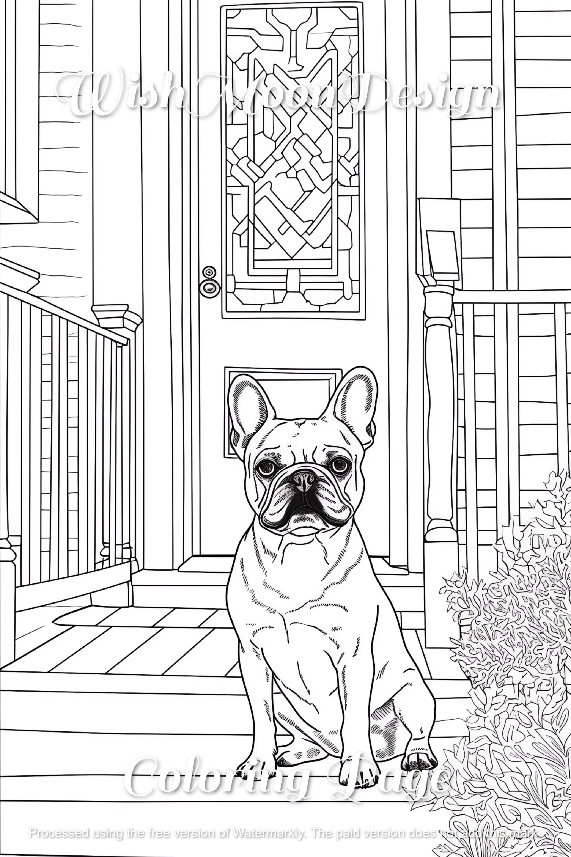 20 Dog Coloring Book, Waiting on the Porch, Dog Breeds, Pets, Puppies ...